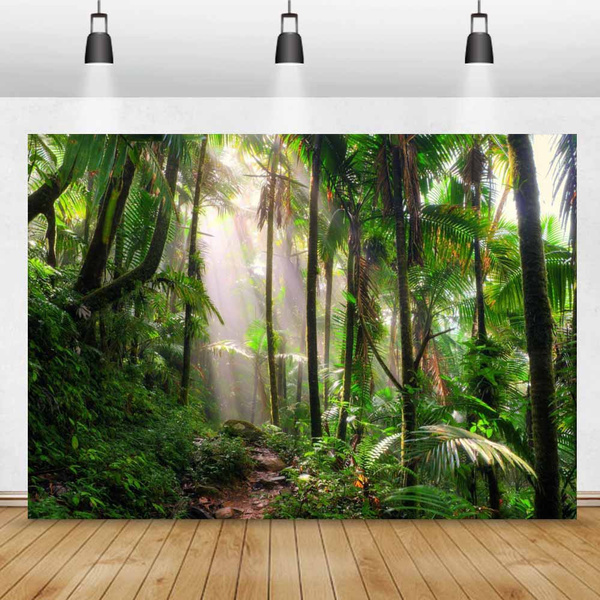 Tropical Jungle Rain Forest Palms Tree Green Natural Scenic Photo ...