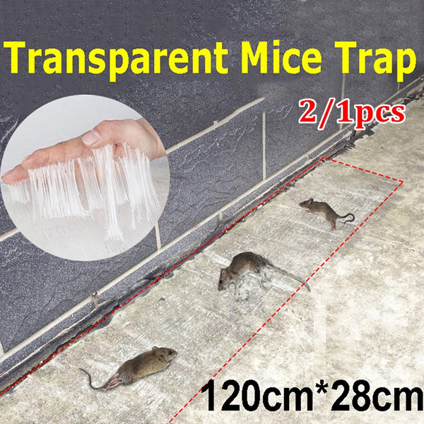 120 x 28cm Rodents Moles Trap Rat Mice Trap Clear Invisible Mouse Glue ...