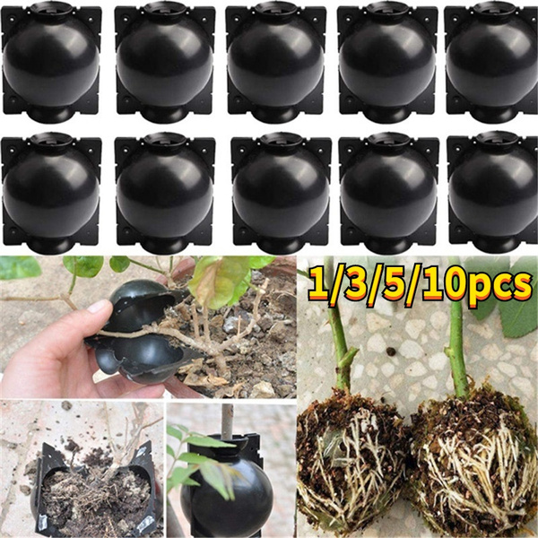 1/3/5/10pcs Plant Rooting Ball Device Grafting Rooting Growing Box ...