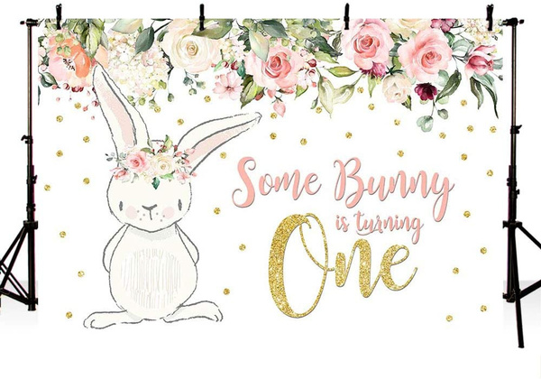 MEHOFOTO 8x6ft Bunny Girl One Birthday Party Backdrop Spring Pink ...