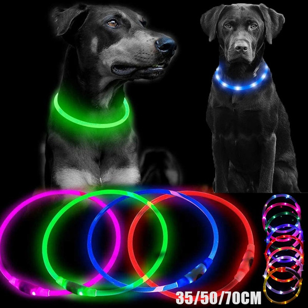 2 Styles LED Dog Collar Light USB Rechargeable Light Up Collars ...