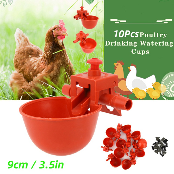 Automatic Poultry Waterer Cup Drinker Chicken Water Nipple For ...