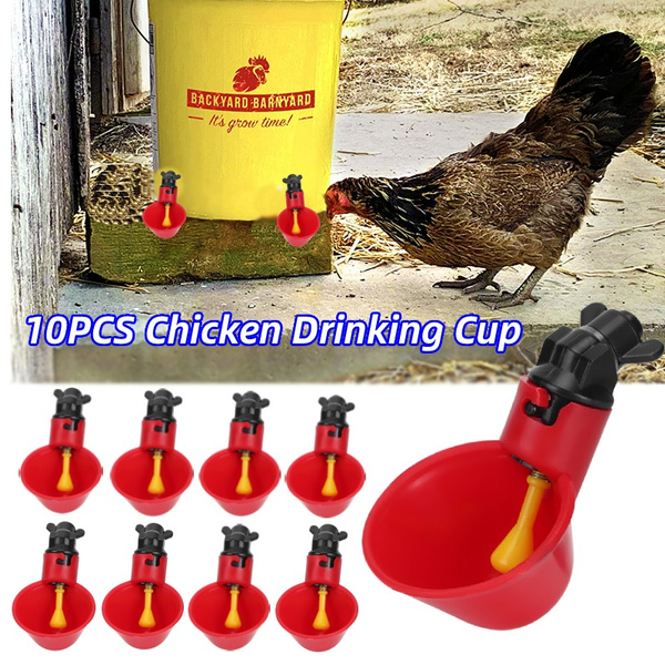 10Pcs Chicken Water Bowls With Nuts, Plastic Poultry Waterer Feeder ...