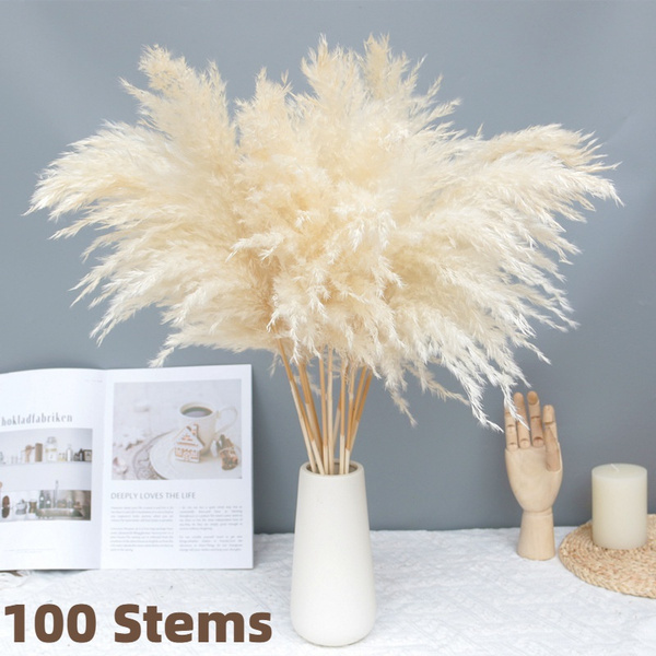 100 Stems White Color Real Dried Pampas Grass Bouquet Wedding Decor ...