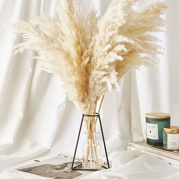 5/10/20 Stems White Color Real Dried Pampas Grass Bouquet Wedding Decor ...