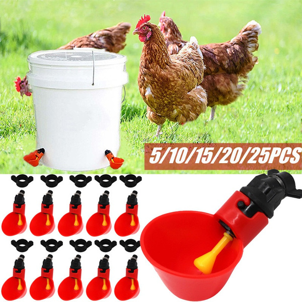 Automatic Poultry Drinking Cup Chicken Drinking Cup Poultry Quail ...