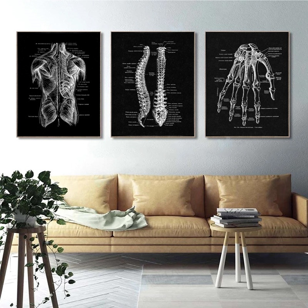 Human Anatomy Artwork Medical Wall Picture Skeleton Organ Muscle System ...