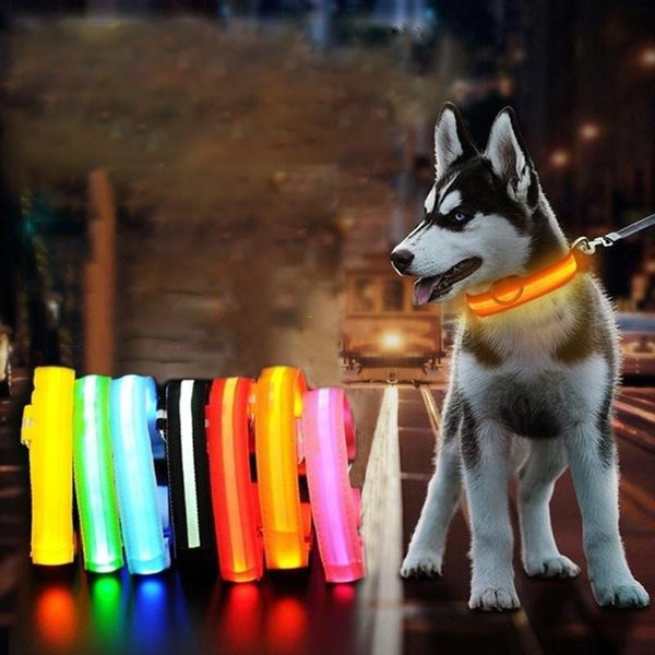 LED Dog Collar Night Safety Bright Glow In The Dark Dog Collar Flashing ...
