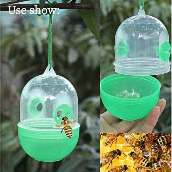Transparent Bee Insects Flies Bugs Hornet Trap Catcher Bee Trap Hanging ...