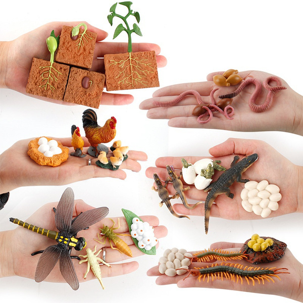 Simulation Animals Life Growth Cycle Chicken Ladybug Action Figures ...