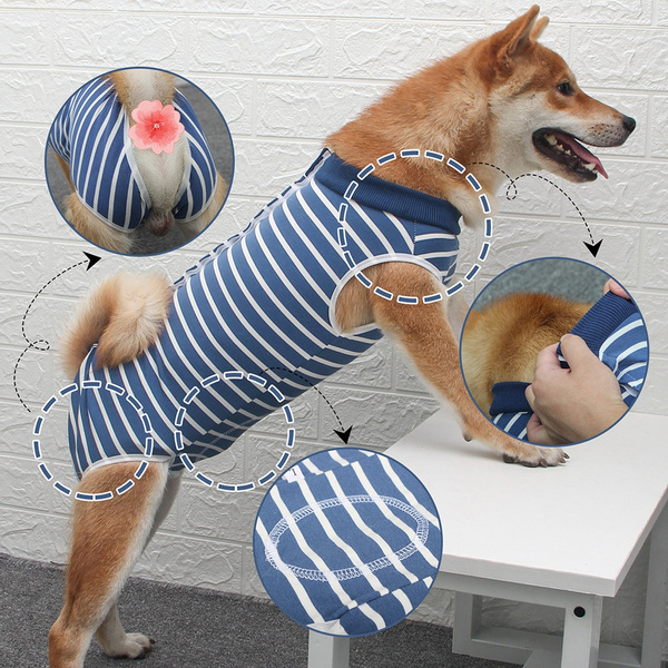 Pet Dog Recovery Suit Spay Suit For Female Dog Bodysuit After Surgery Pet Dog Recovery Suit Spay Suit For Female Dog Bodysuit After Surgery
