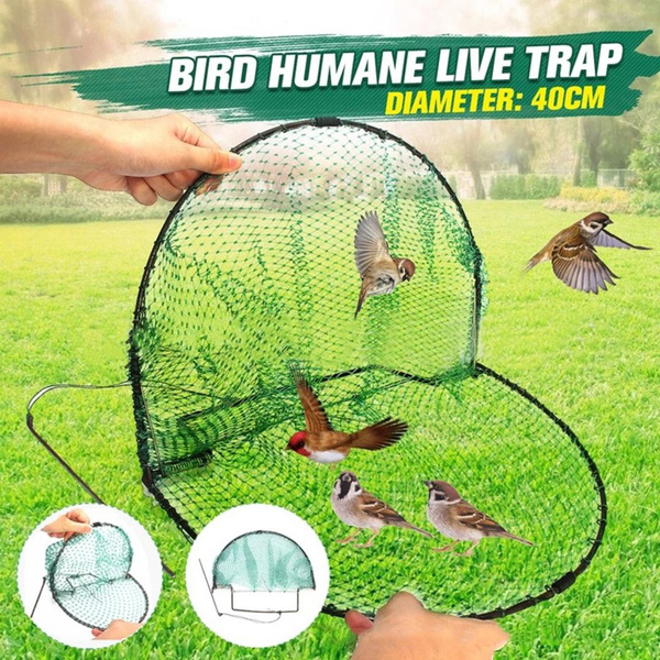 Bird Net Cage Effective Quail Humane Live Trap Hunting Catch Sparrow ...