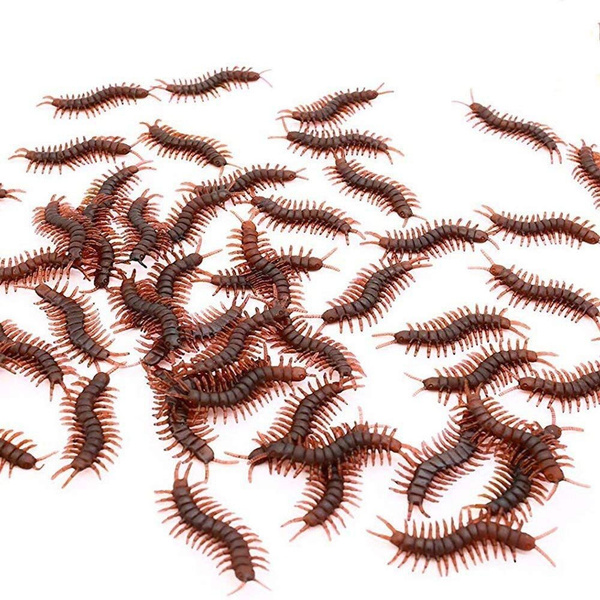 Fake Centipedes,Toy Centipede Plastic Centipede Joke Toys for Prank ...