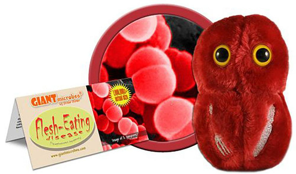 GIANTmicrobes Plush - Flesh Eating (Streptococcus Pyogenes) | Wish