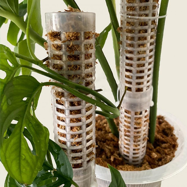 Plant Climbing Frame Plastic Moss Potted Plant Rack Green Insole ...