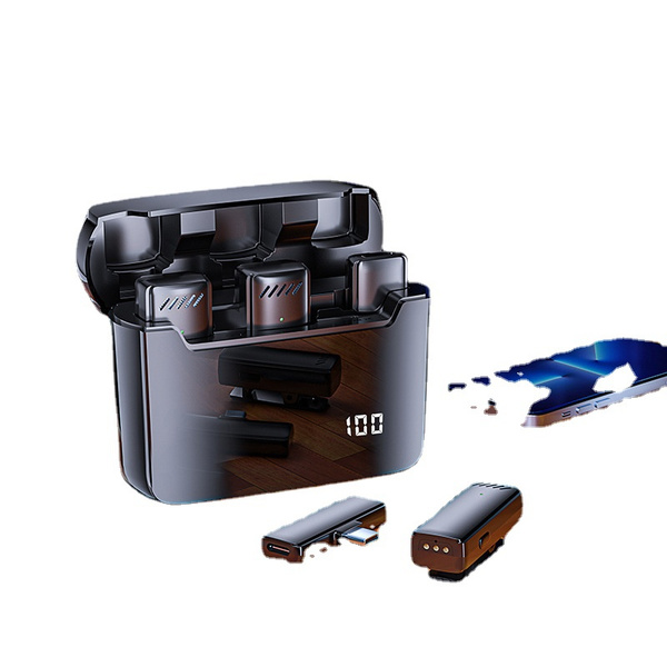 Digital Display Wireless Microphone One for Two Professional Live ...