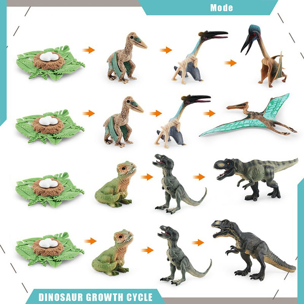 Dinosaur Growth Cycle Model Children Science and Education Toy Dinosaur ...