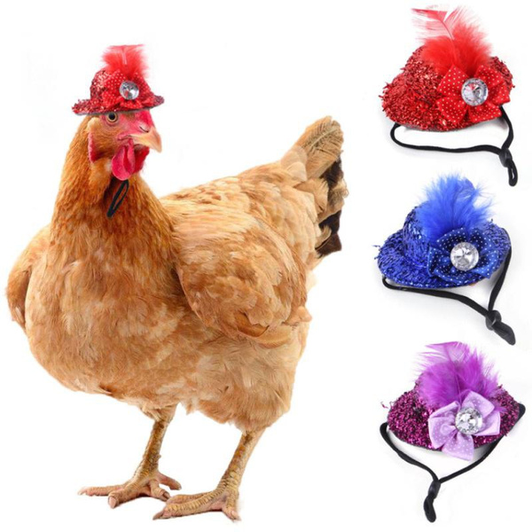 Funny Hats Bird Hat Pet Chicken Caps Rooster Caps Animal Hat For Photo ...