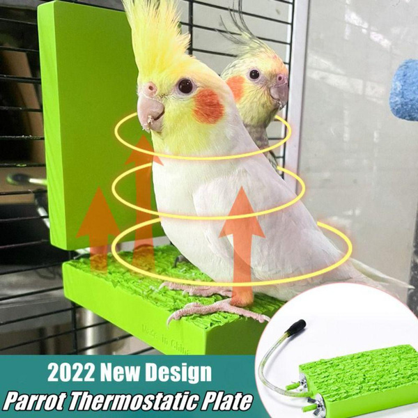 New Design Easy to Install Constant Temperature Design 12V for Parrots ...