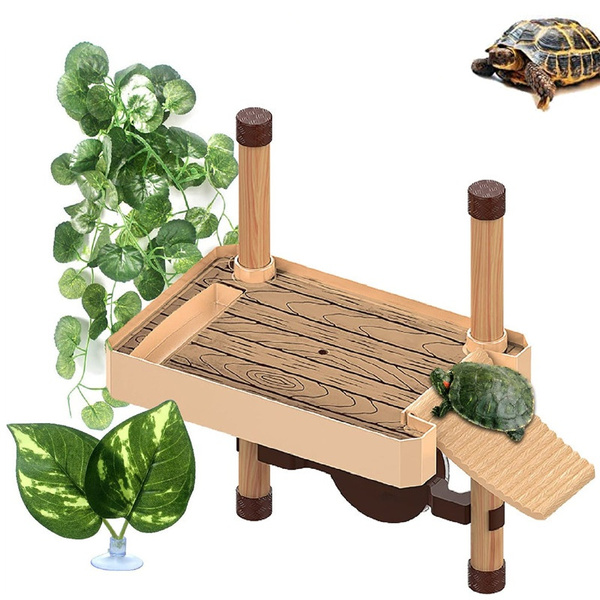 Tortoise Drying Platform Brazilian Water Turtle Floating Island Turtle ...