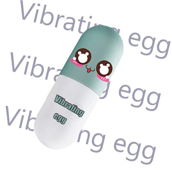 Bullet Vibrator G Spot Clitoral Stimulation 10 Frequency Vibrating Mini ...