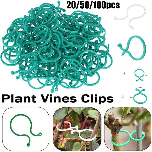 Garden Buckles 8-shaped Buckle Vegetable Planting Support Clip PP ...