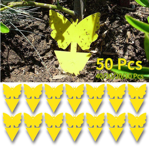 Double-sided Strong Flies Sticky Traps Bugs Flying Traps Catching Aphid ...