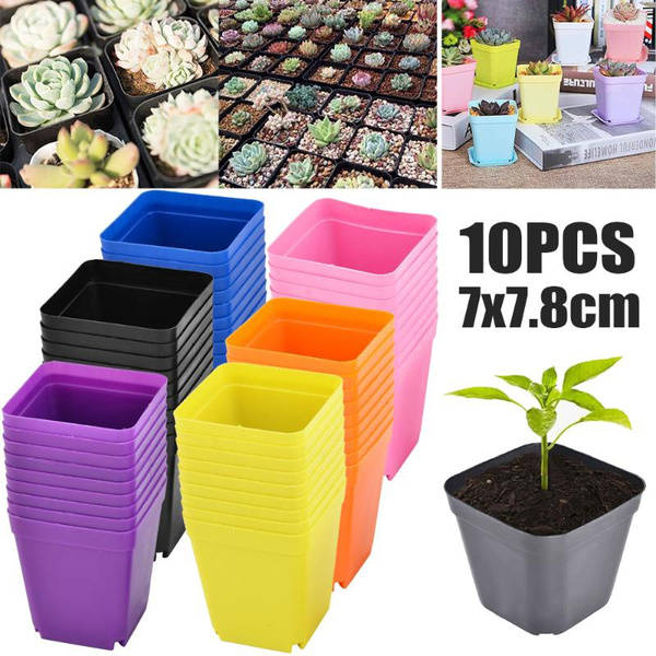 10 Pack Small 3Inch Plastic Square Nursery and Seedling Pot Container ... 10 Pack Small 3Inch Plastic Square Nursery and Seedling Pot Container ...