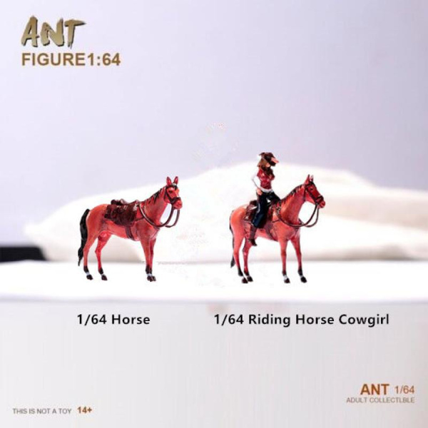 TOYS 1/64 Scale Painted Riding Horse Cowgirl Model Doll Miniature ...