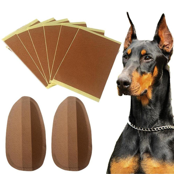 Auxiliary Support Pet Ear Correction Doberman Ear Erector Correct Dog ...