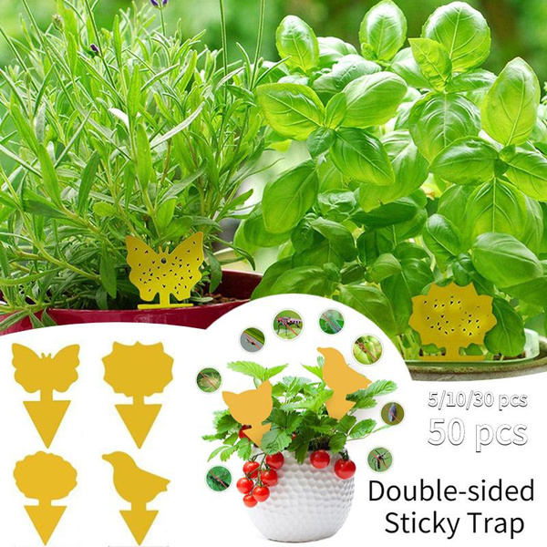 5/10/30/50PCS Double-sided Sticky Trap Insect Board Mosquito Flies Trap ...