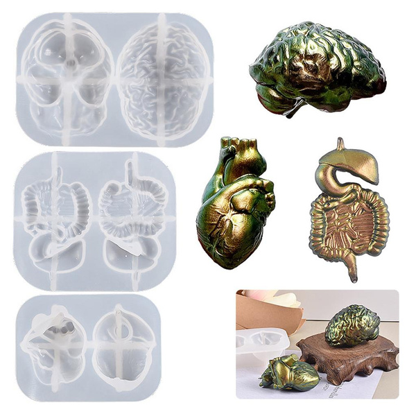 Human Organs Shape Silicone Molds Heart Brain Resin Epoxy Mold Cupcake ...