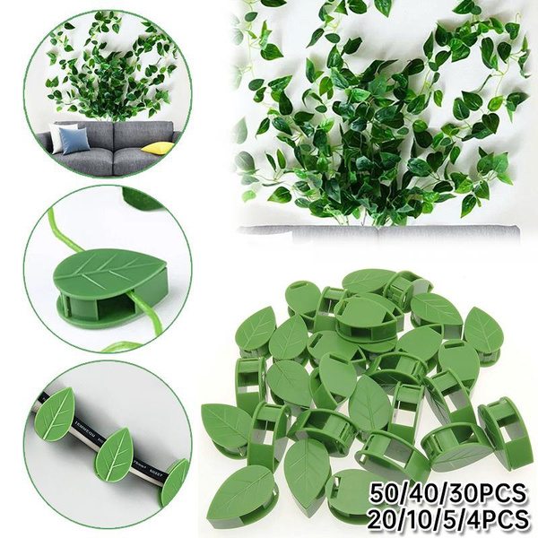 Invisible Plant Fixed Buckle Plant Fixture Clip Plants Climbing Wall ...