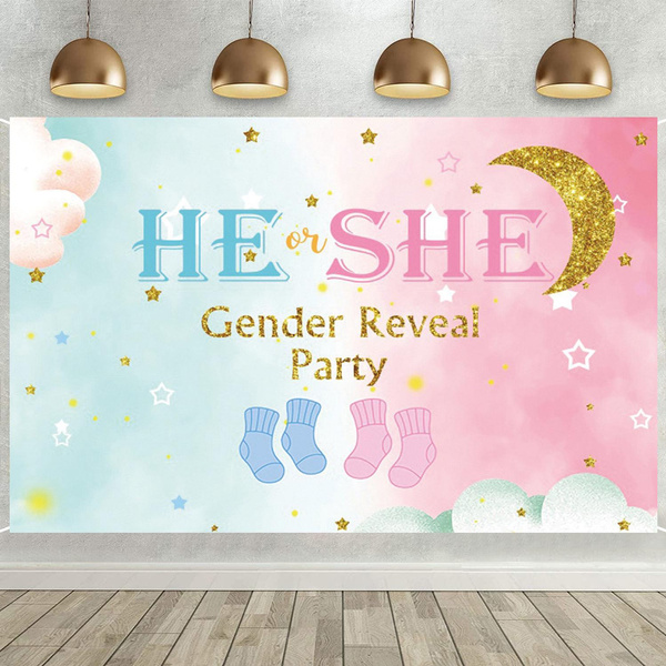 Blue Pink He or She Gender Reveal Party Backdrop Gender Reveal Baby ...