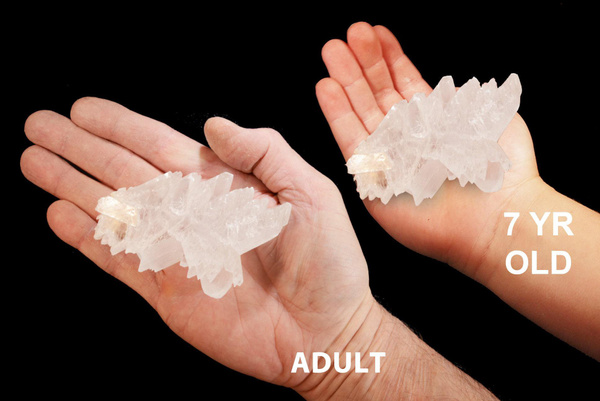 FISHTAIL SELENITE 2 1/2" 4-5 Oz Top Grade Fish Tail Angel Wing Rocks ...