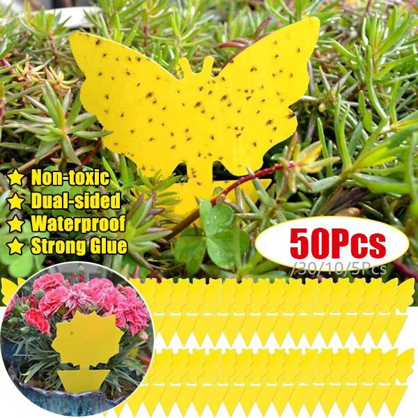 5/10/30/50 Pcs Sticky Traps for Plants Fruit Fly and Fungus Gnat Trap ...
