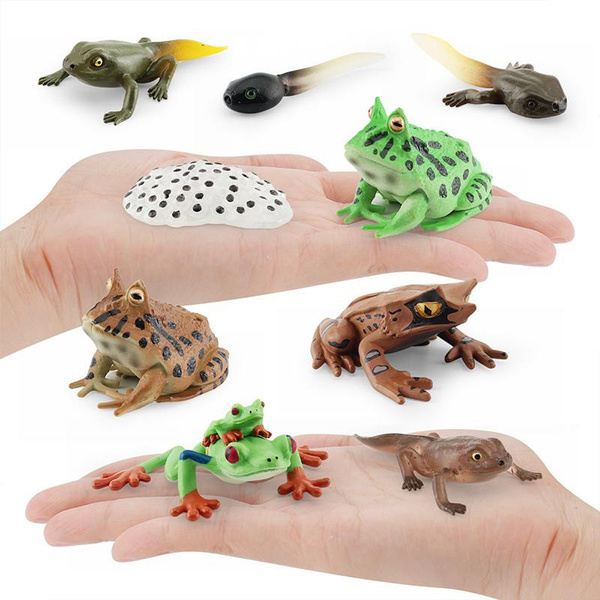 Growth Cycle Tadpole Amphibian Frog Model Children's Education Toys ...