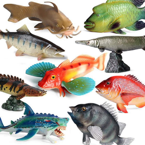Animal Model Simulation Marine Freshwater Fish Salmon Piranha Tuna ...