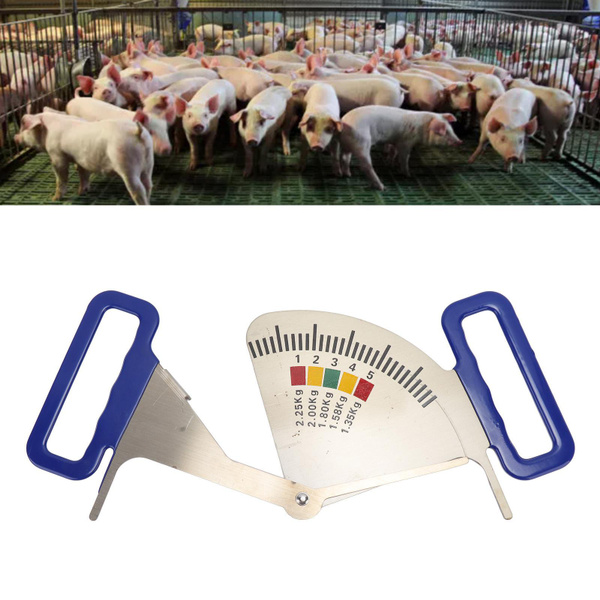 Sow Backfat Caliper Stainless Steel Sow Feeding Management Body ...