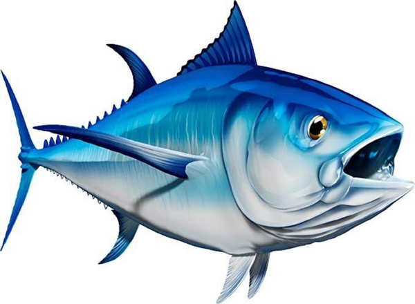 Bluefin Tuna Vinyl Sticker Fish Decals for Boat Car Vehicle Truck ...