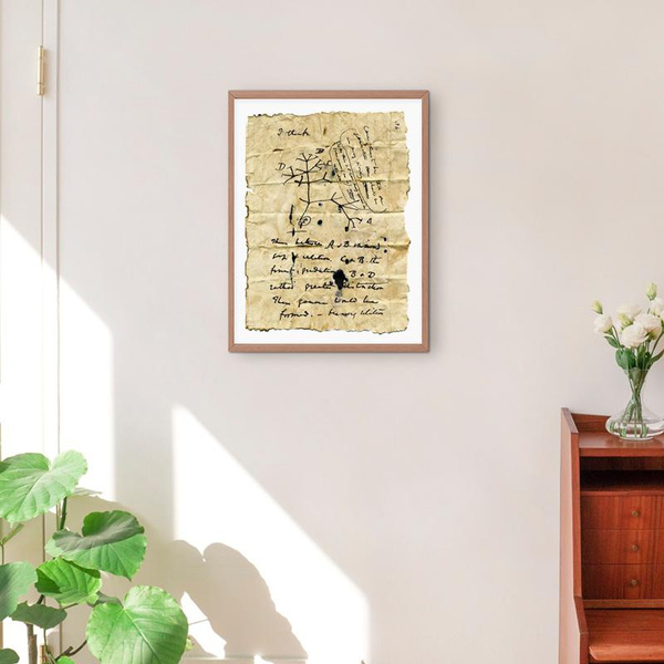 Tree of Life Evolution Diagram Sketch Prints Biology Poster Charles ...