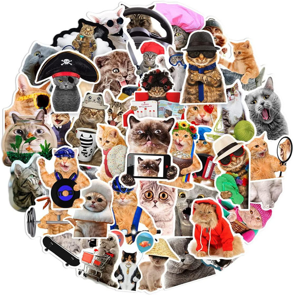 15/66PCS Funny cat Stickers for Children, Teenagers, Adults Aesthetic ...
