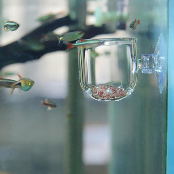 Transparent Aquarium Red Feeder Suction Cup Fish Feeding Cup Container ...