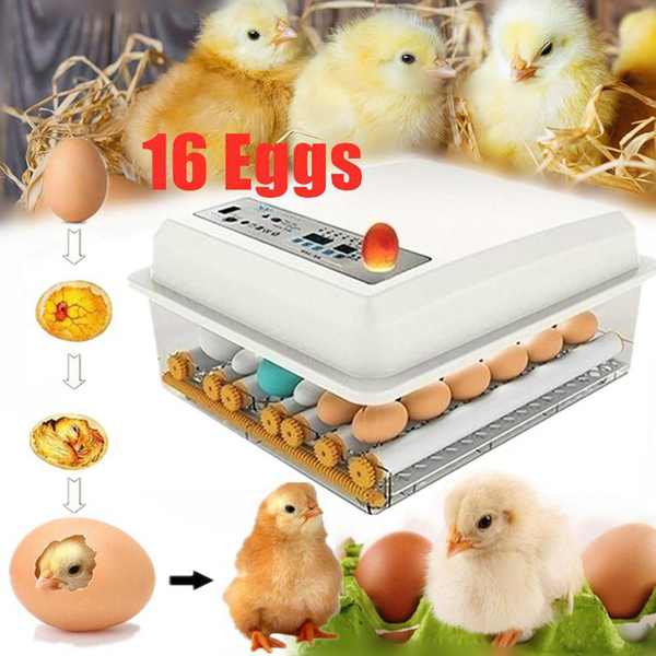 16/9Eggs Incubator Brooder Hatchery Bird Quail Chick Incubator Dual ...