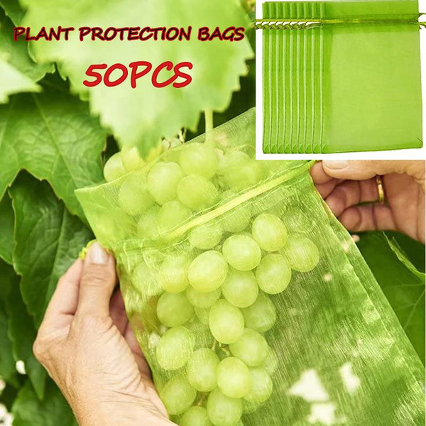 50pcs Fruit Grow Bags Plant Protection Bags For Pest Control Anti-Bird ...