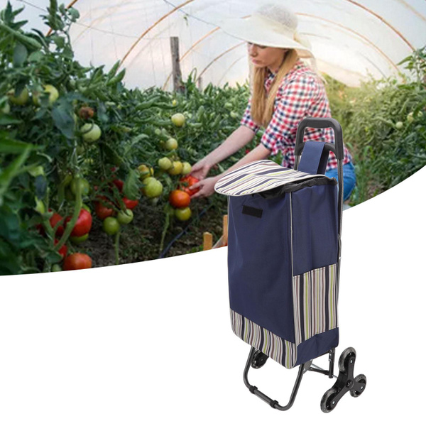 Foldable Shopping Cart Folding Elderly People Buy Vegetable Cart With ...