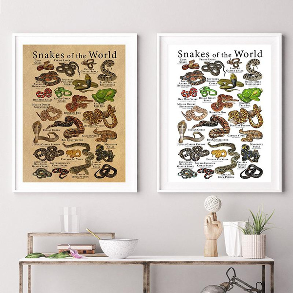 Snakes of the World Illustration Poster Snake Various Species Prints ...