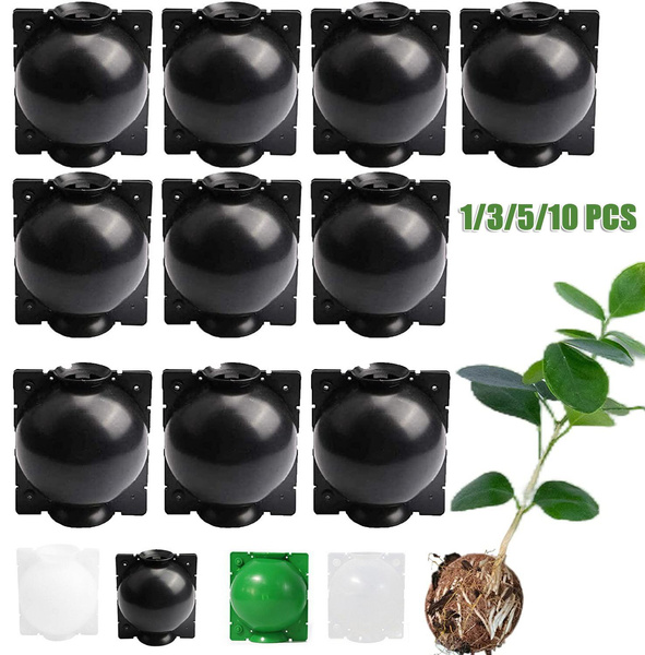 1/3/5/10 PCS Tree Root Growing Box, Rooting Ball Grafting Tools ... 1/3/5/10 PCS Tree Root Growing Box, Rooting Ball Grafting Tools ...