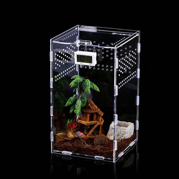 Reptile Spider Container Snakes Feeding Box Insect Frogs Reptile ...