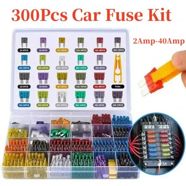 300pcs Car Mini Blade Car Fuses Auto Car Truck Assortment Fuse Kit 2A ...